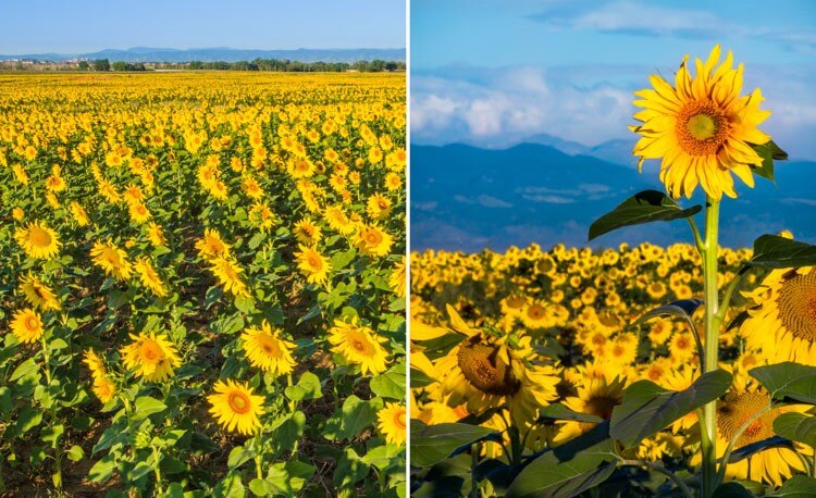 What is data coverage, and why does it matter?